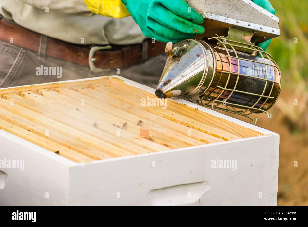 A man looking at a beehive in a meadow. A man looking at a beehive in a ...