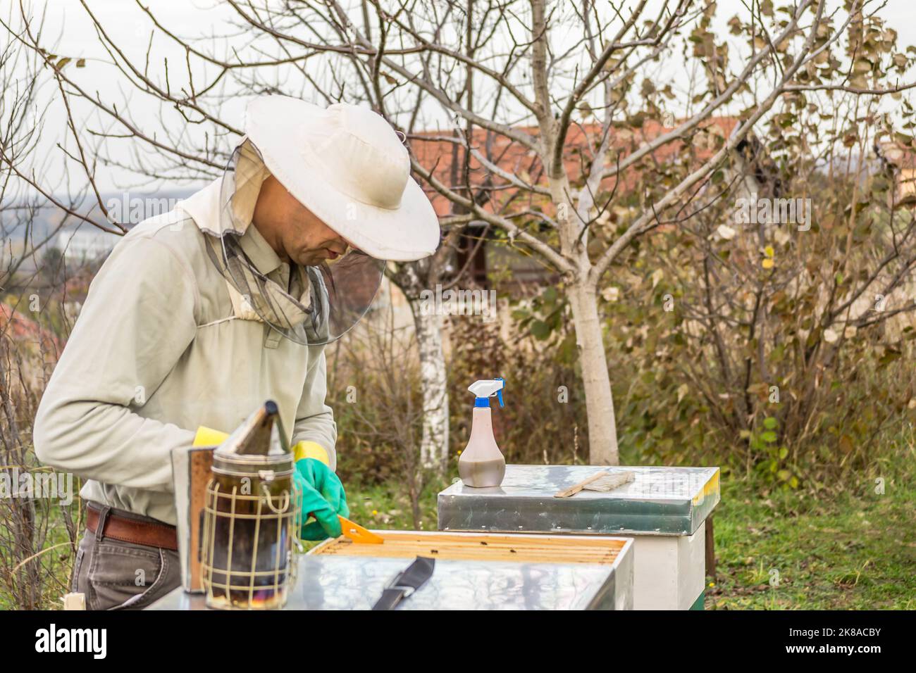A man looking at a beehive in a meadow. A man looking at a beehive in a ...
