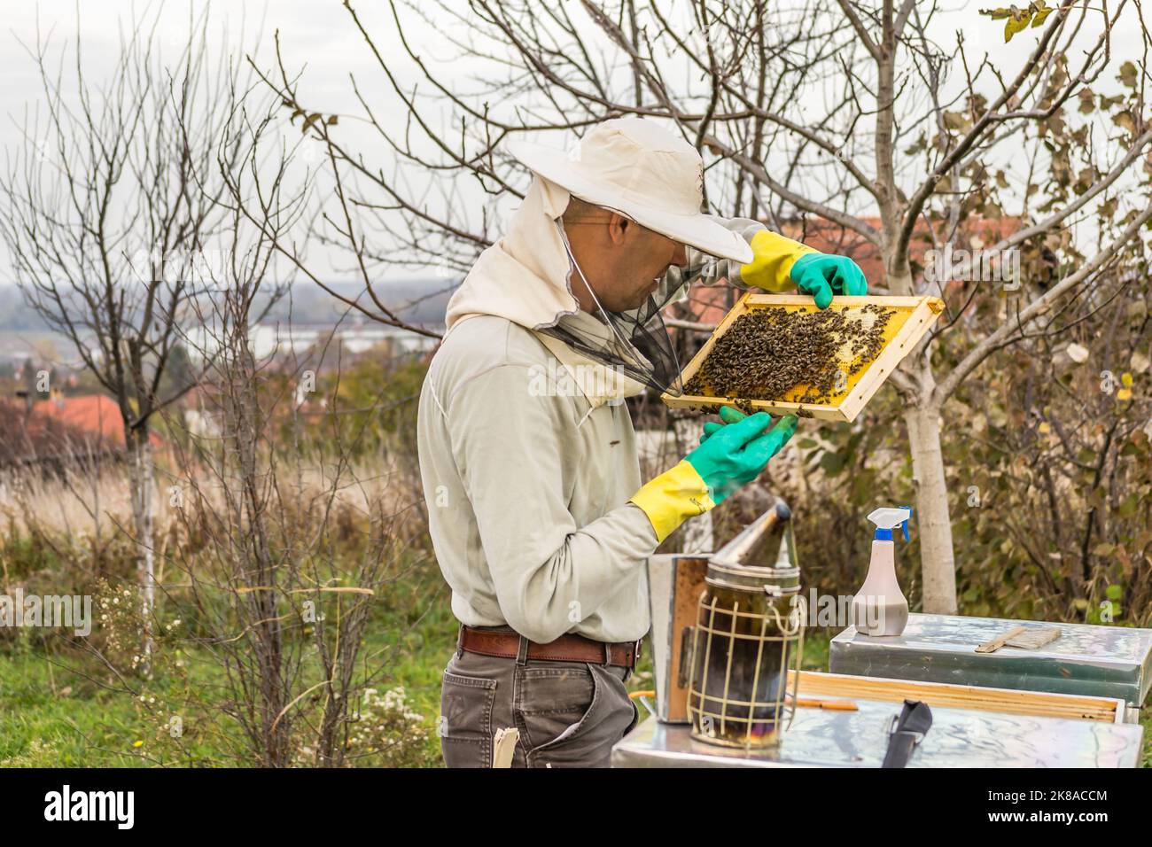 A man looking at a beehive in a meadow. A man looking at a beehive in a ...