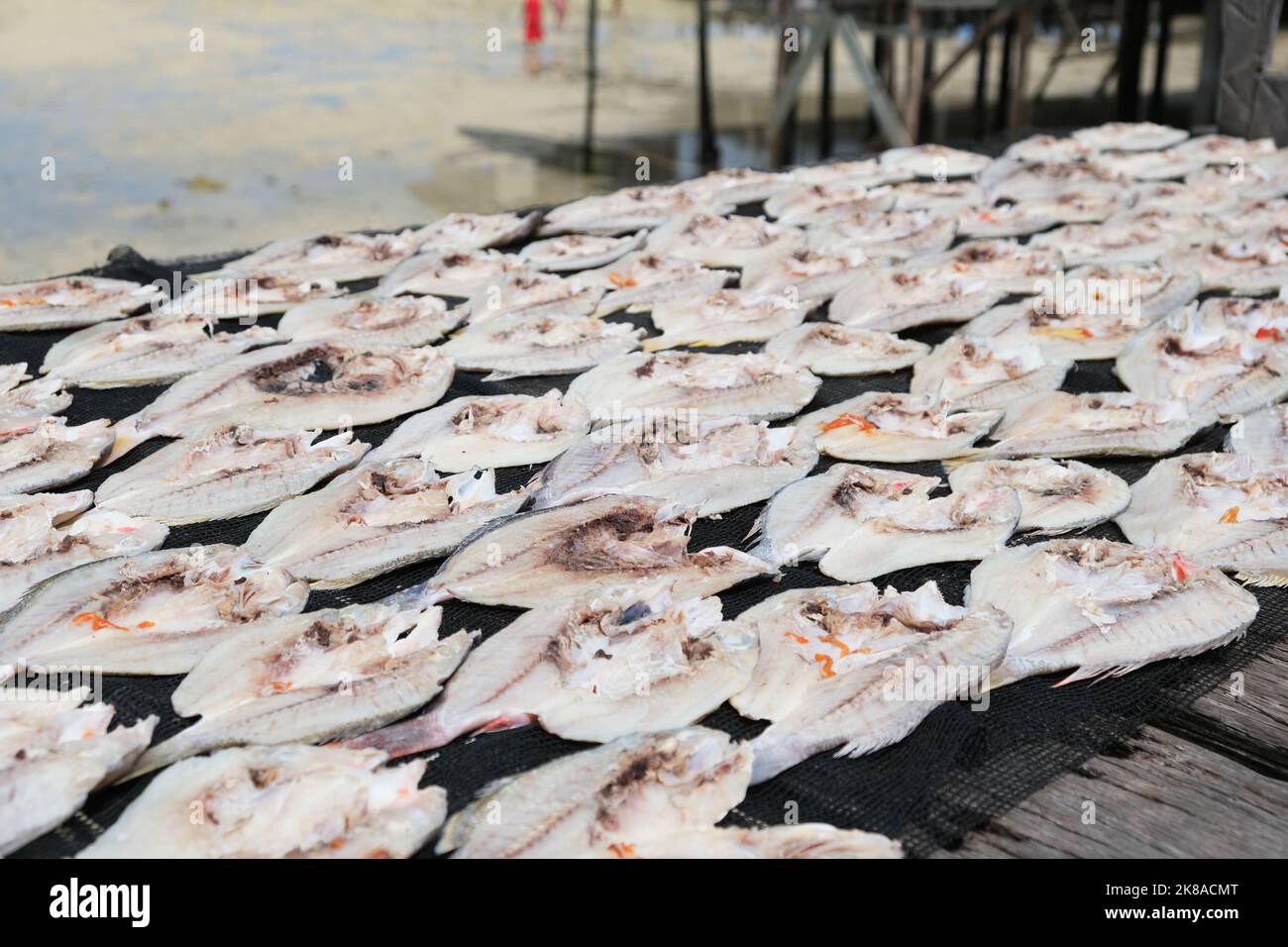 Salted Fish dried under the sun at Pulau Omadal, Sabah Stock Photo - Alamy