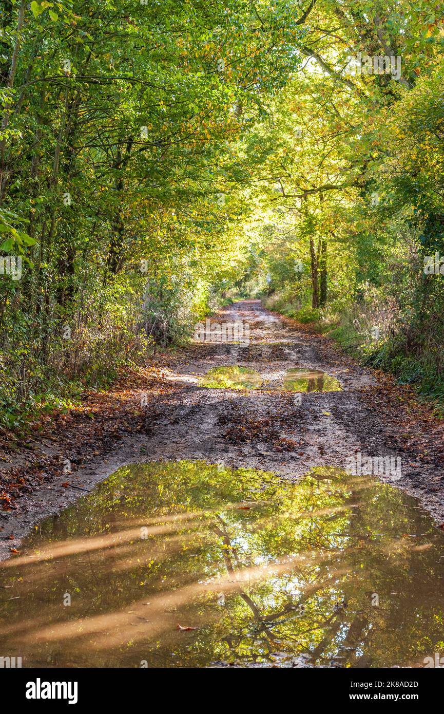 Sunshine through rain hi-res stock photography and images - Alamy