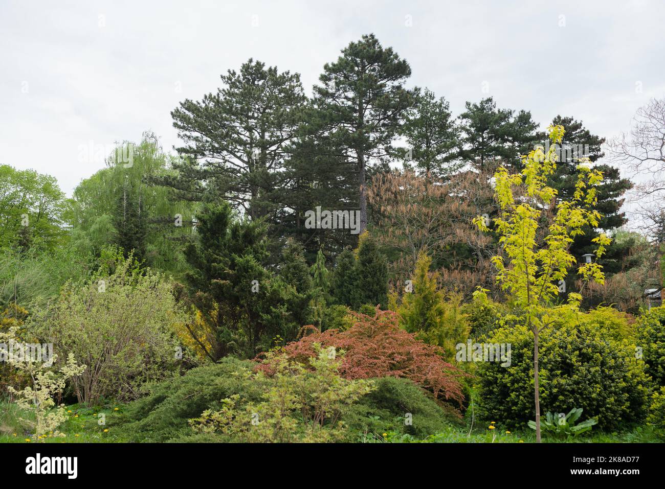 springtime park garden view with overcast weather Stock Photo - Alamy