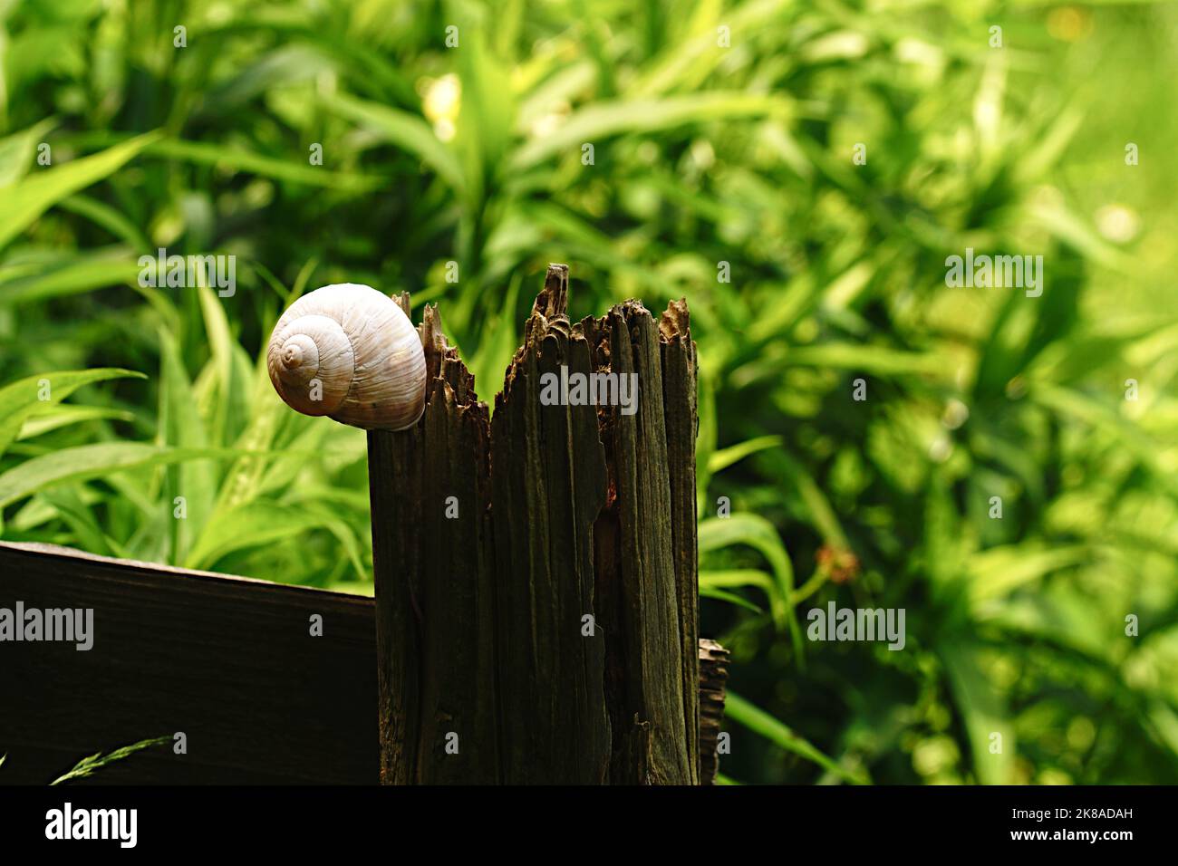 Kompost kompost garten hi-res stock photography and images - Alamy