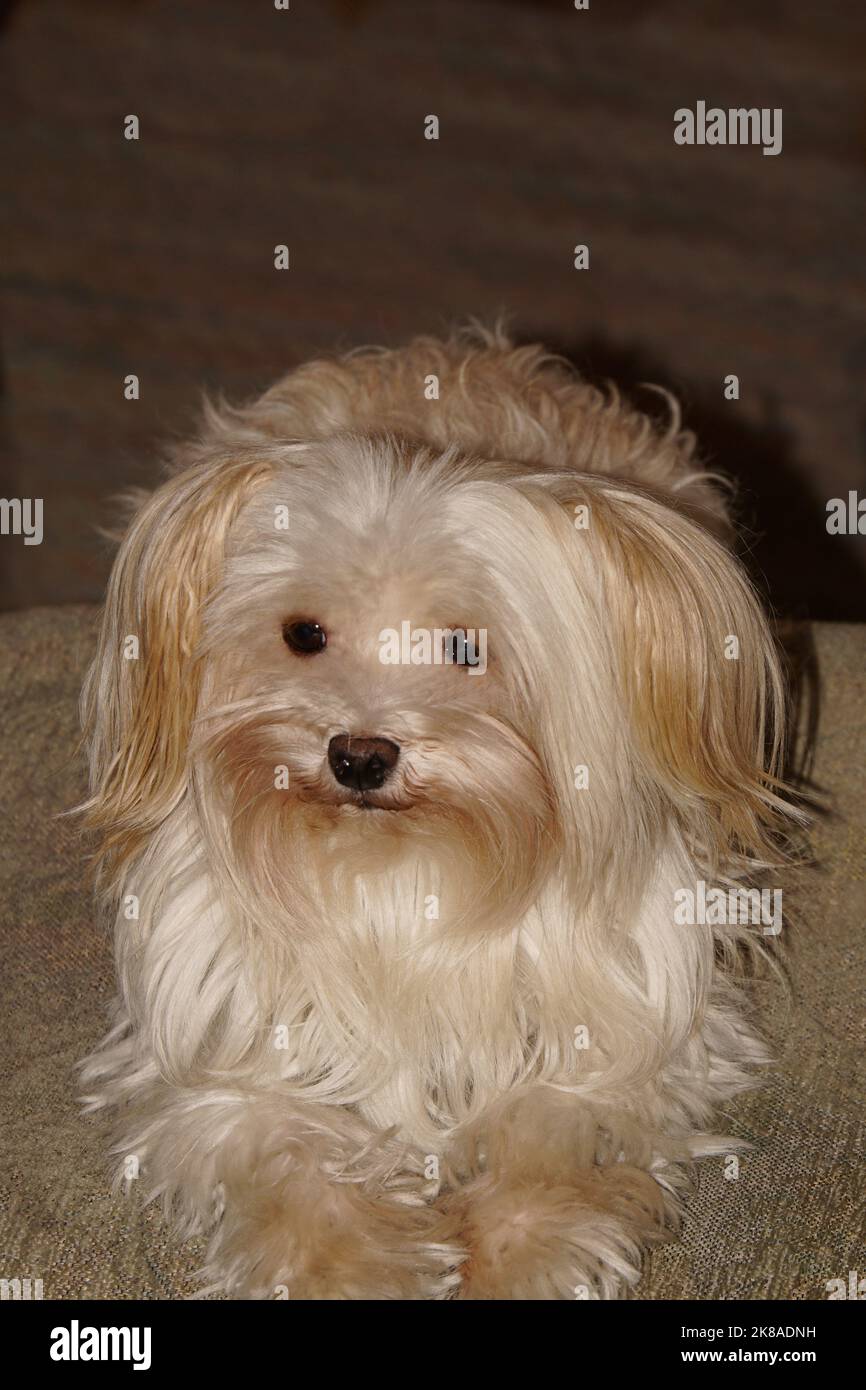 Jeany hi-res stock photography and images - Alamy