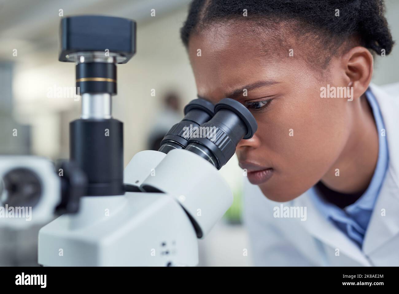 Shes noticed something...a young scientist using a microscope in a lab ...