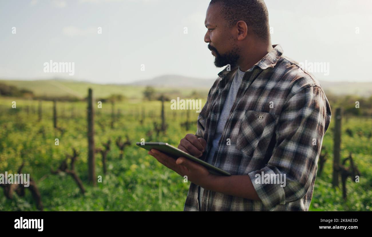 The future of farming is here. a mature man using a digital tablet ...