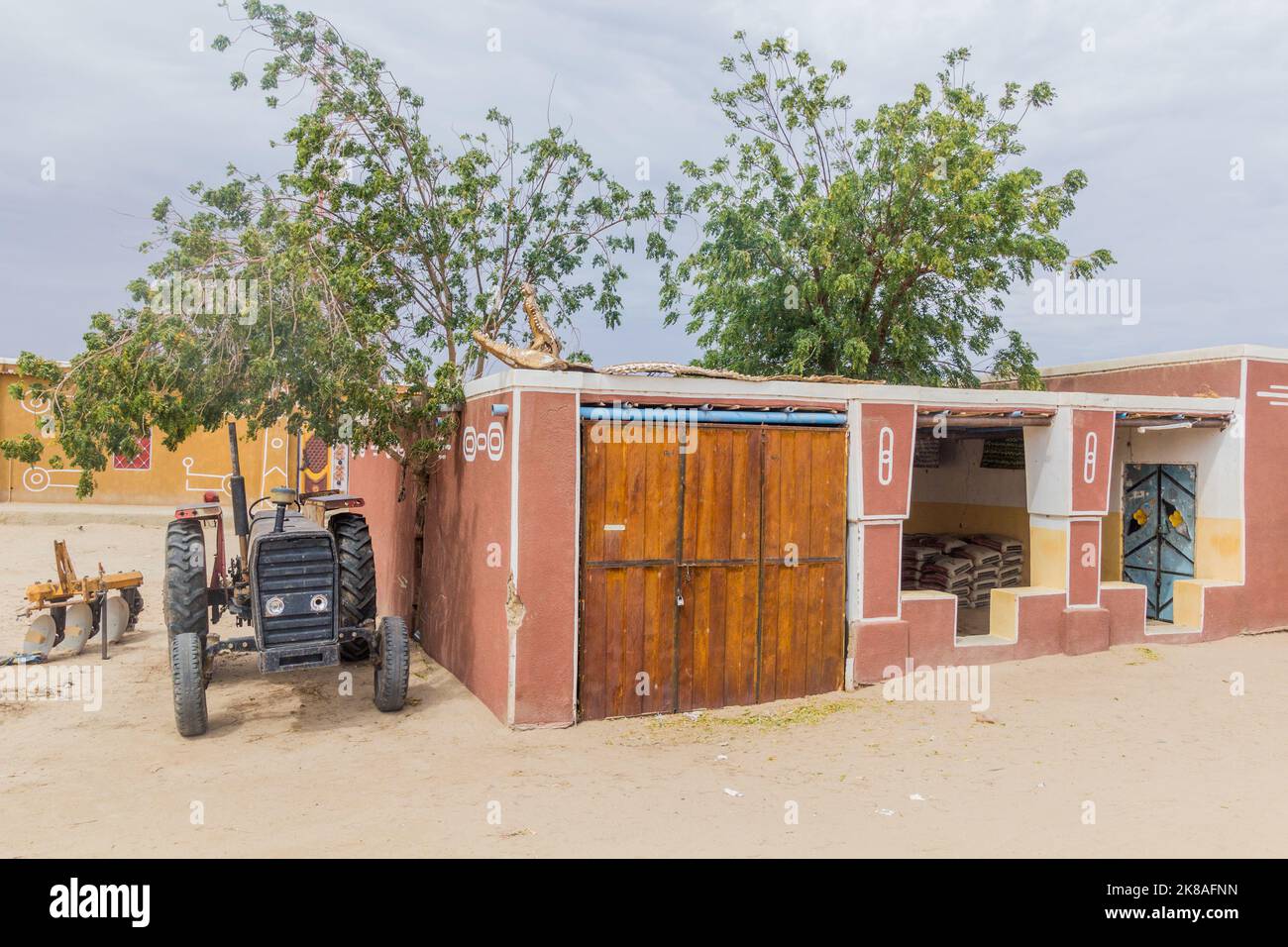 Crocodile skeleton hi-res stock photography and images - Alamy