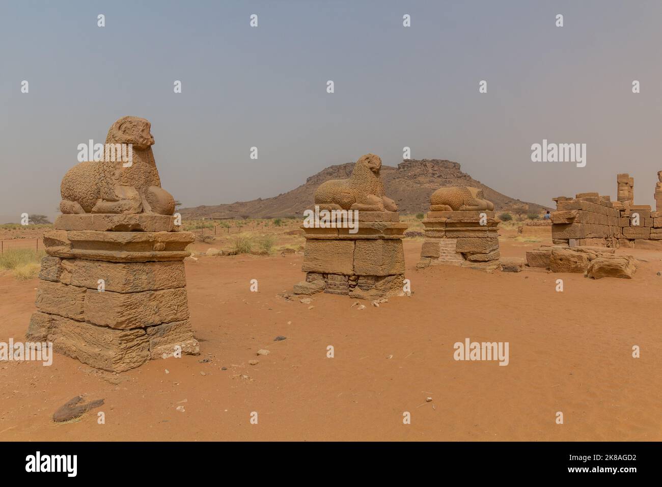 Colonnade of rams at the Temple of Amun in Naqa, Sudan Stock Photo - Alamy
