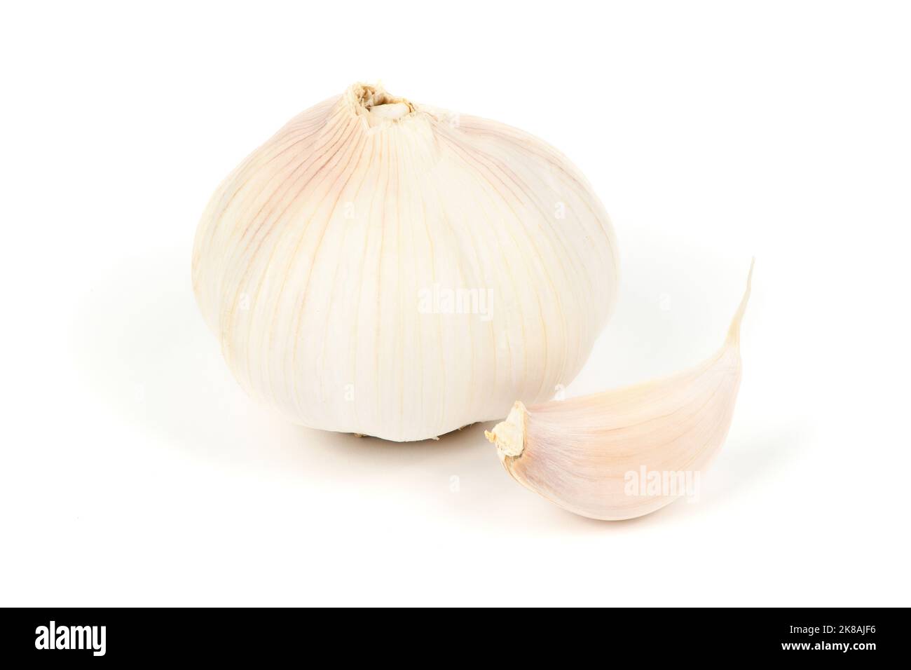 Garlic isolated on white background. High resolution photo. Full depth ...