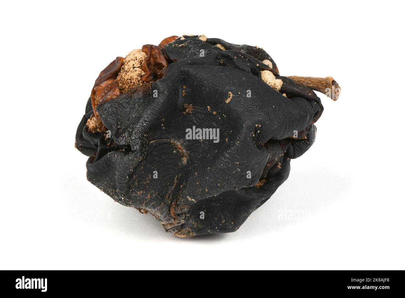 Rotten apple isolated on white background. High resolution photo. Full ...