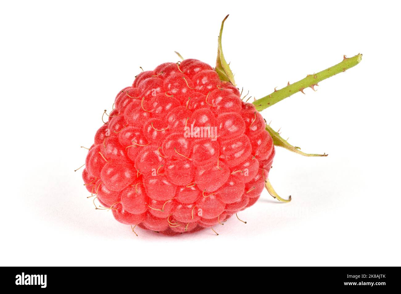 Raspberry ripe and tasty. Isolated on white background. High resolution ...