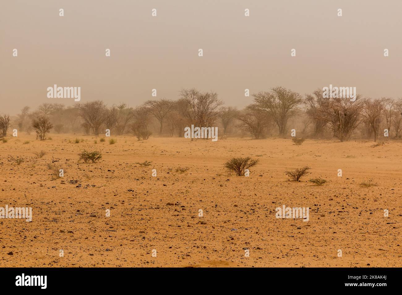 Dry region landscape hi-res stock photography and images - Alamy