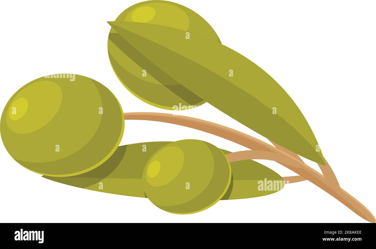 Green olives icon cartoon vector. Food olive. Virgin plant Stock Vector ...