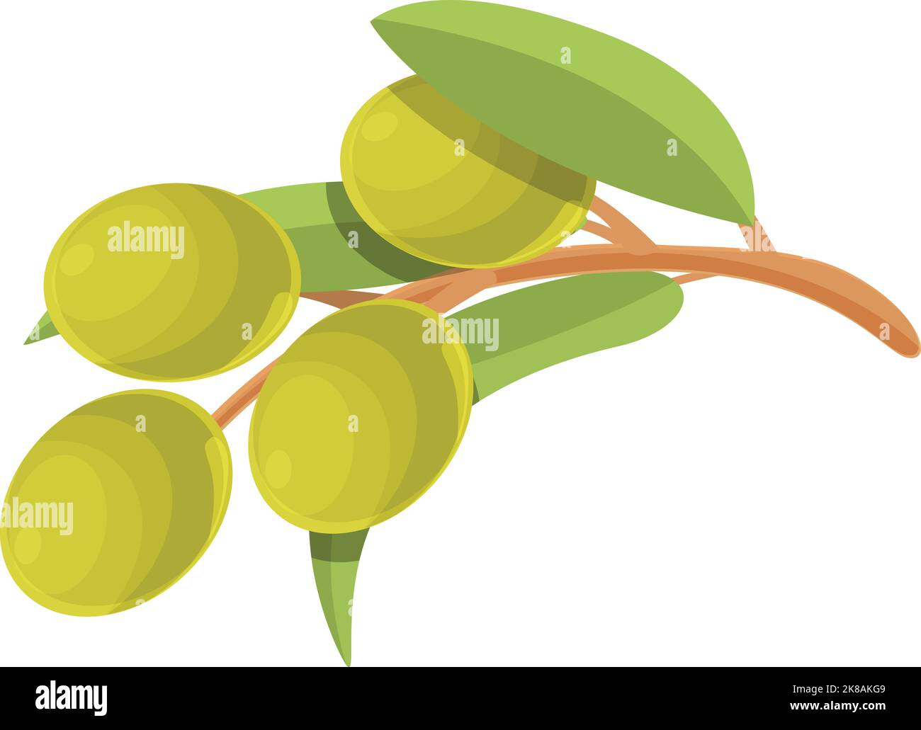 Green olives branch icon cartoon vector. Fruit vegetable. Condiment ...