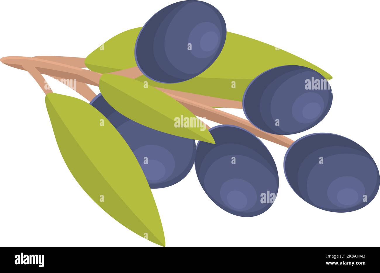 Greek black olives icon cartoon vector. Olive food. Vegetable plant ...
