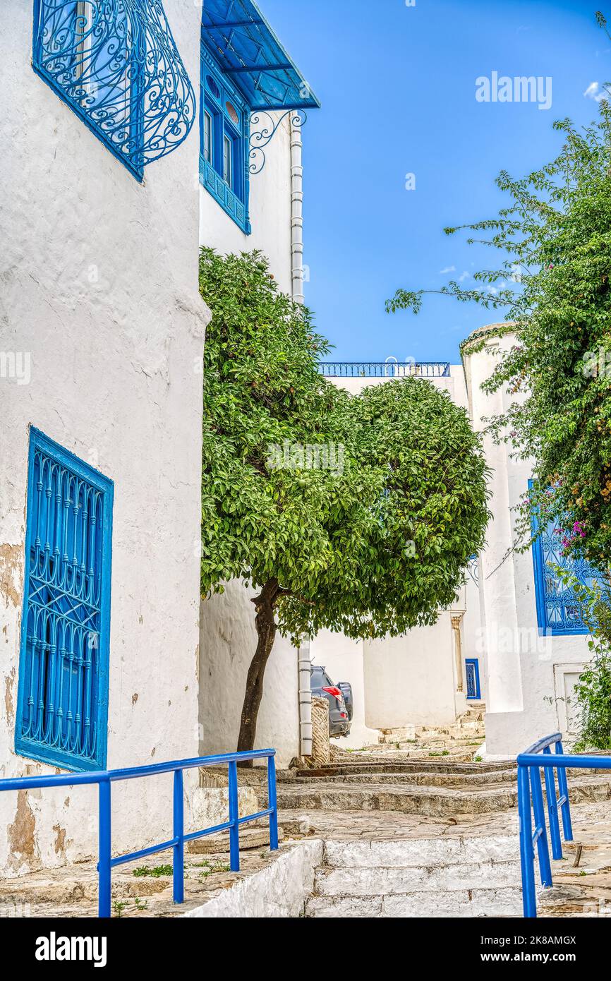 Tunisian street art hi-res stock photography and images - Alamy