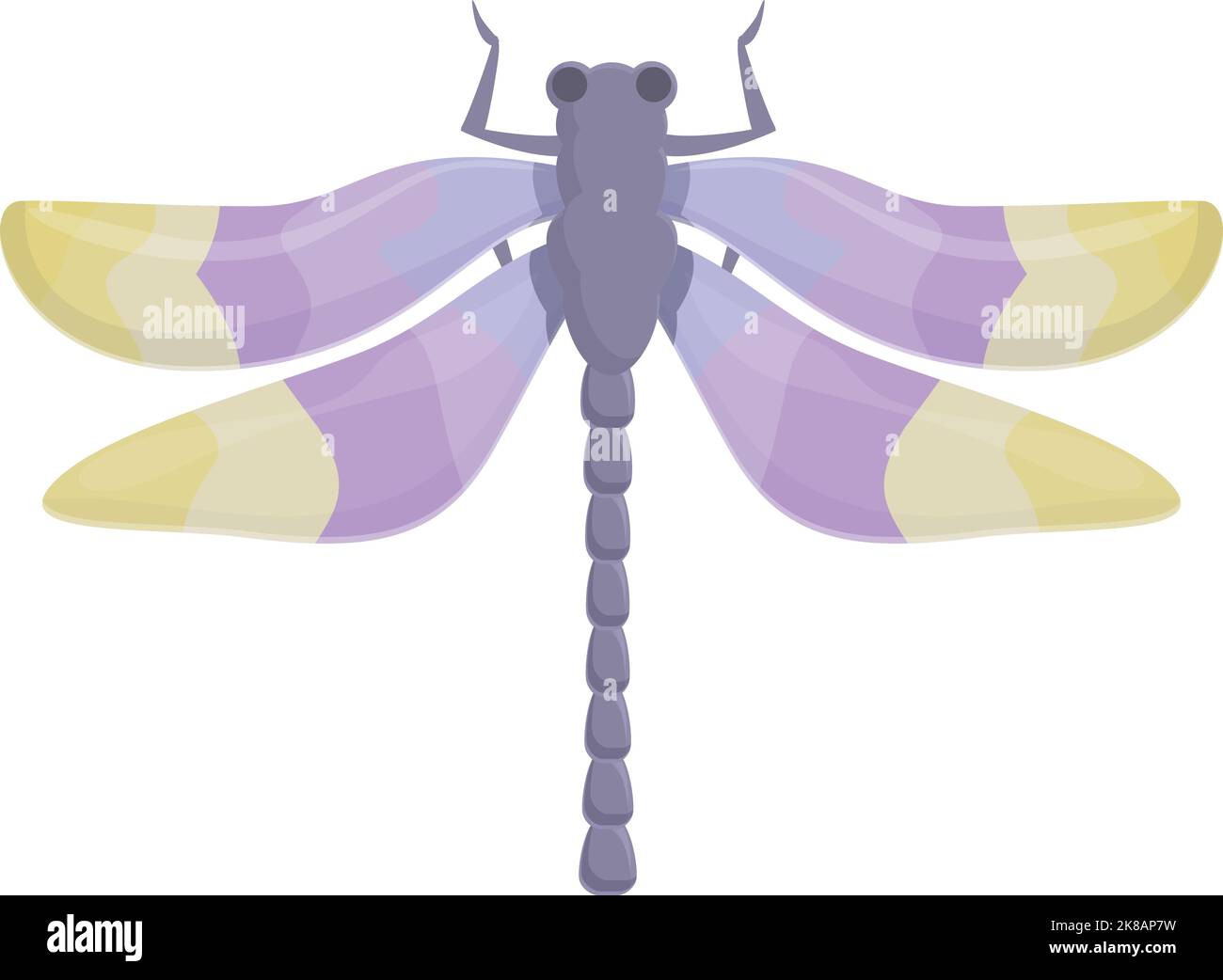 Old dragonfly icon cartoon vector. Bug insect. Summer fly dragon Stock ...