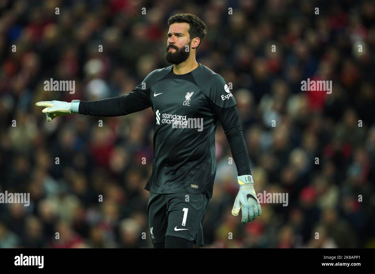 Liverpool goalkeeper Alisson Becker during the Premier League match at ...