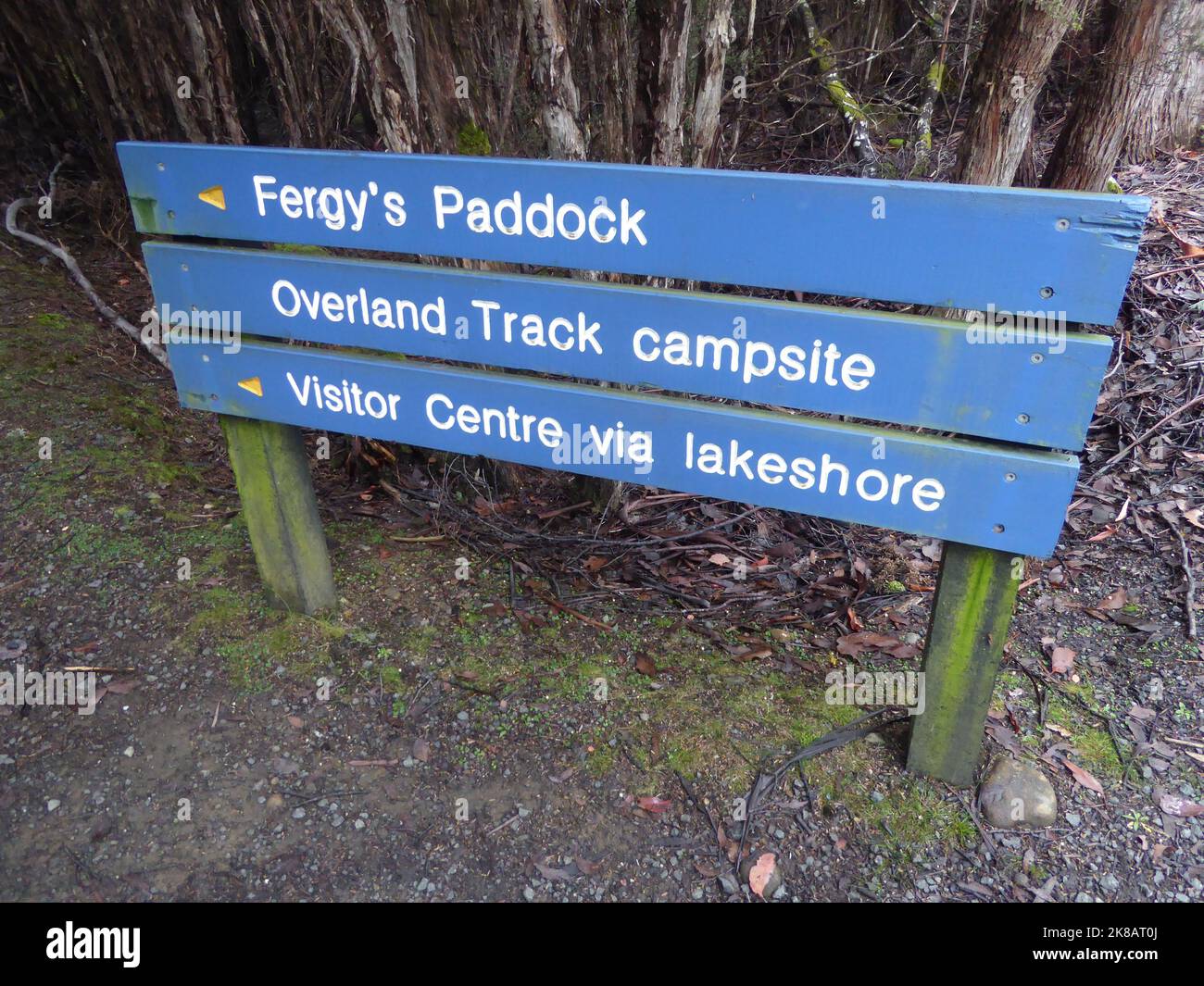 The Overland Track. Australian bushwalking track.Cradle Mountain-Lake ...