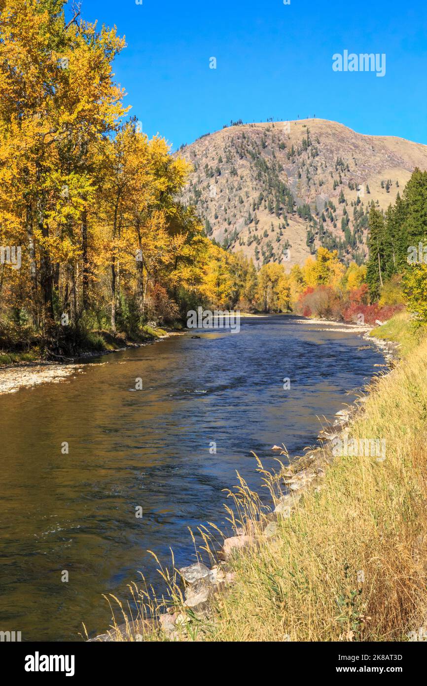 fall colors along rock creek near clinton, montana Stock Photo - Alamy