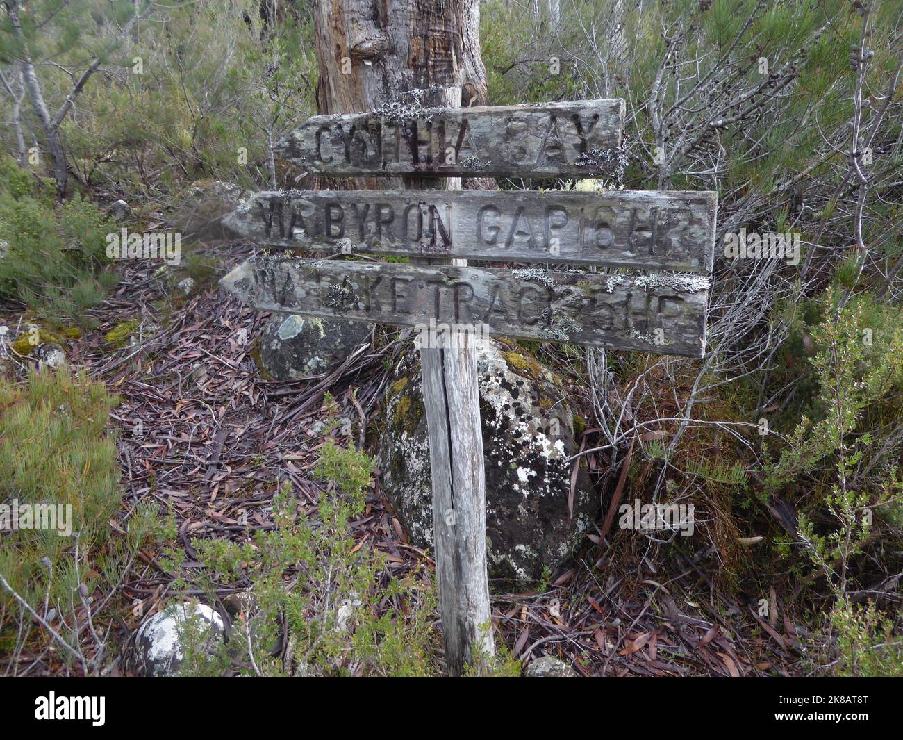 The Overland Track. Australian bushwalking track.Cradle Mountain-Lake ...