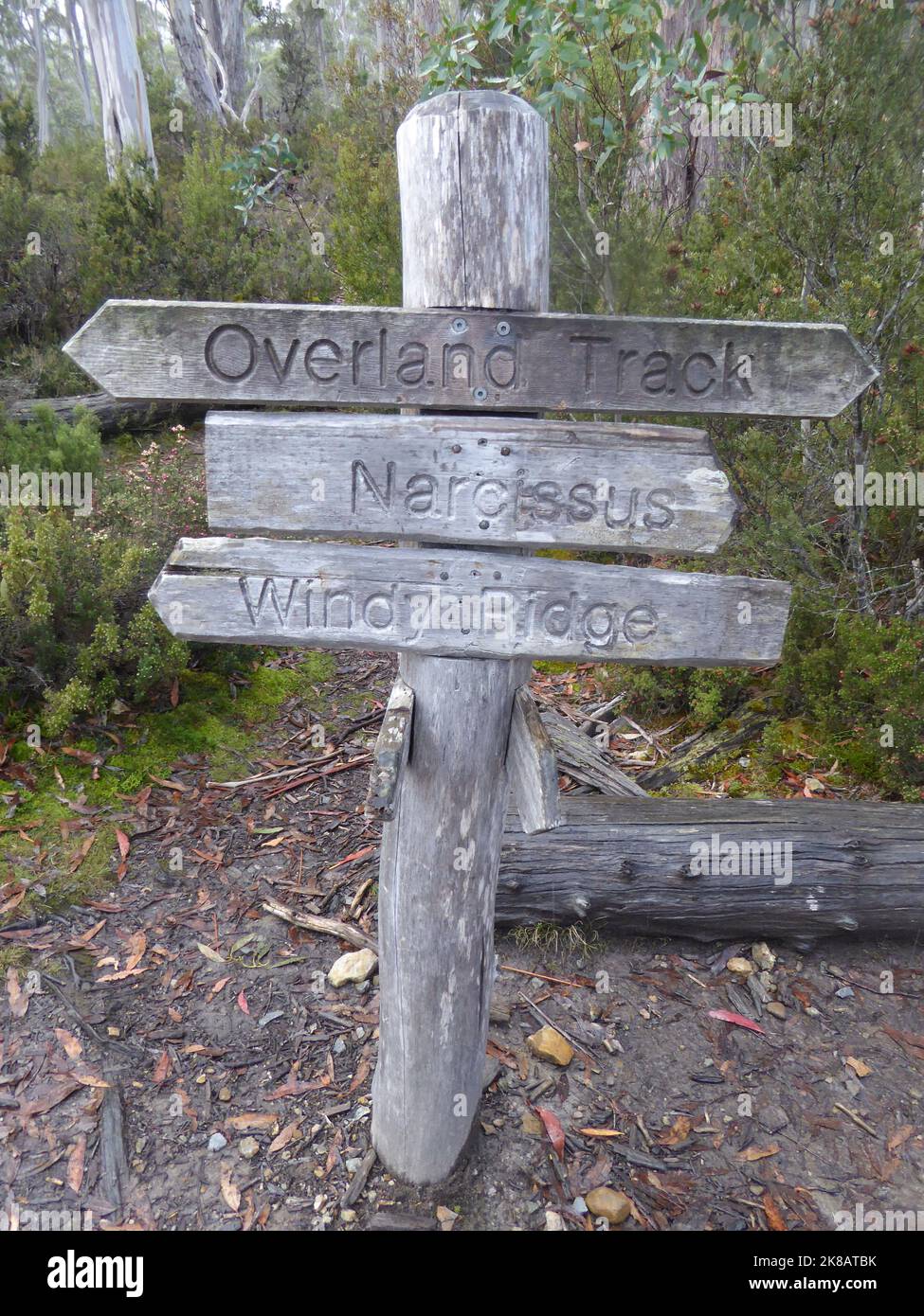 The Overland Track. Australian bushwalking track.Cradle Mountain-Lake ...