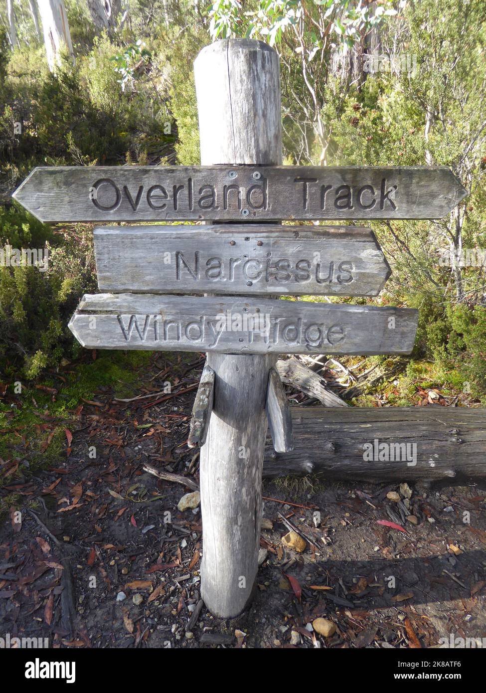 The Overland Track. Australian bushwalking track.Cradle Mountain-Lake ...