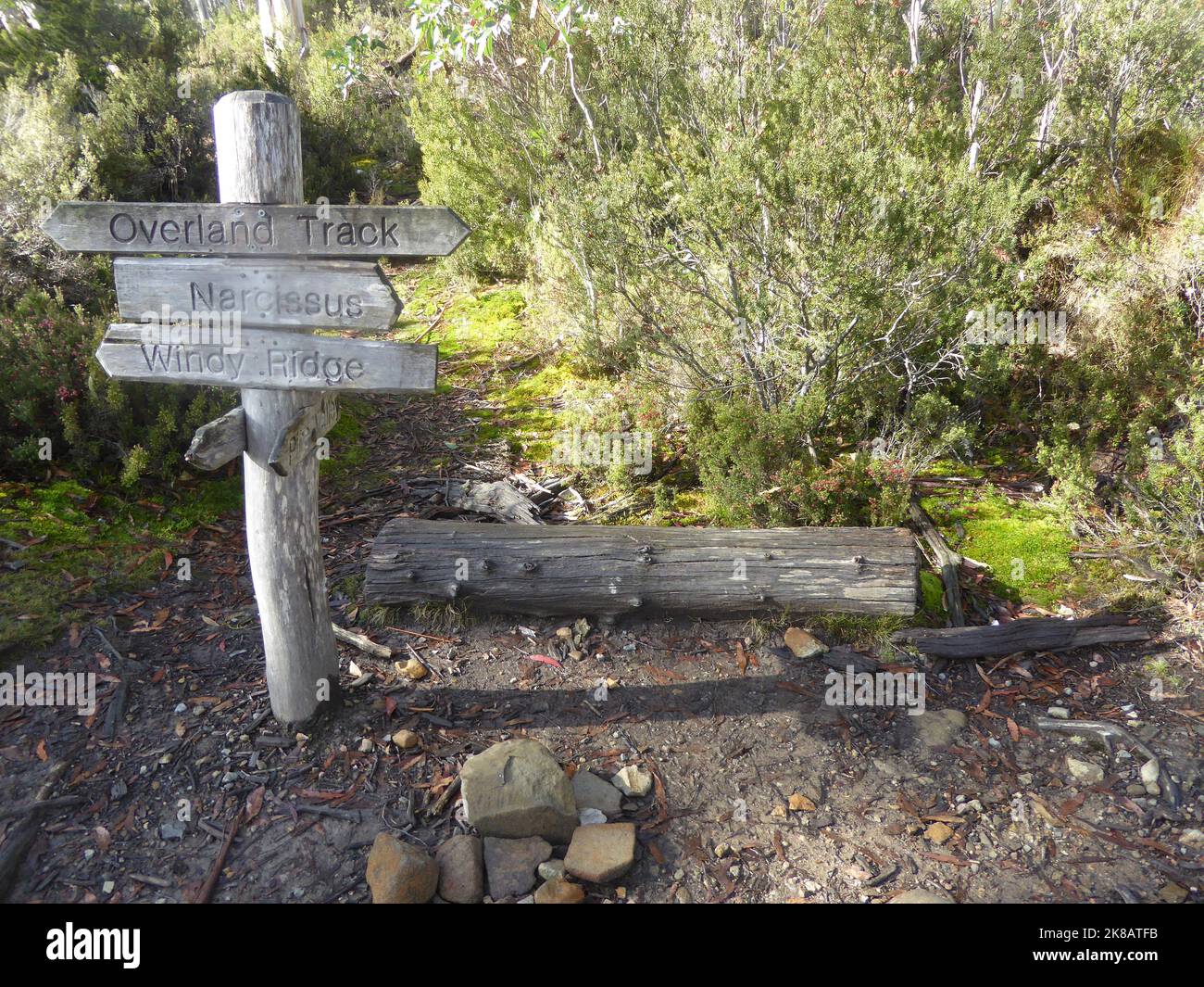 The Overland Track. Australian bushwalking track.Cradle Mountain-Lake ...