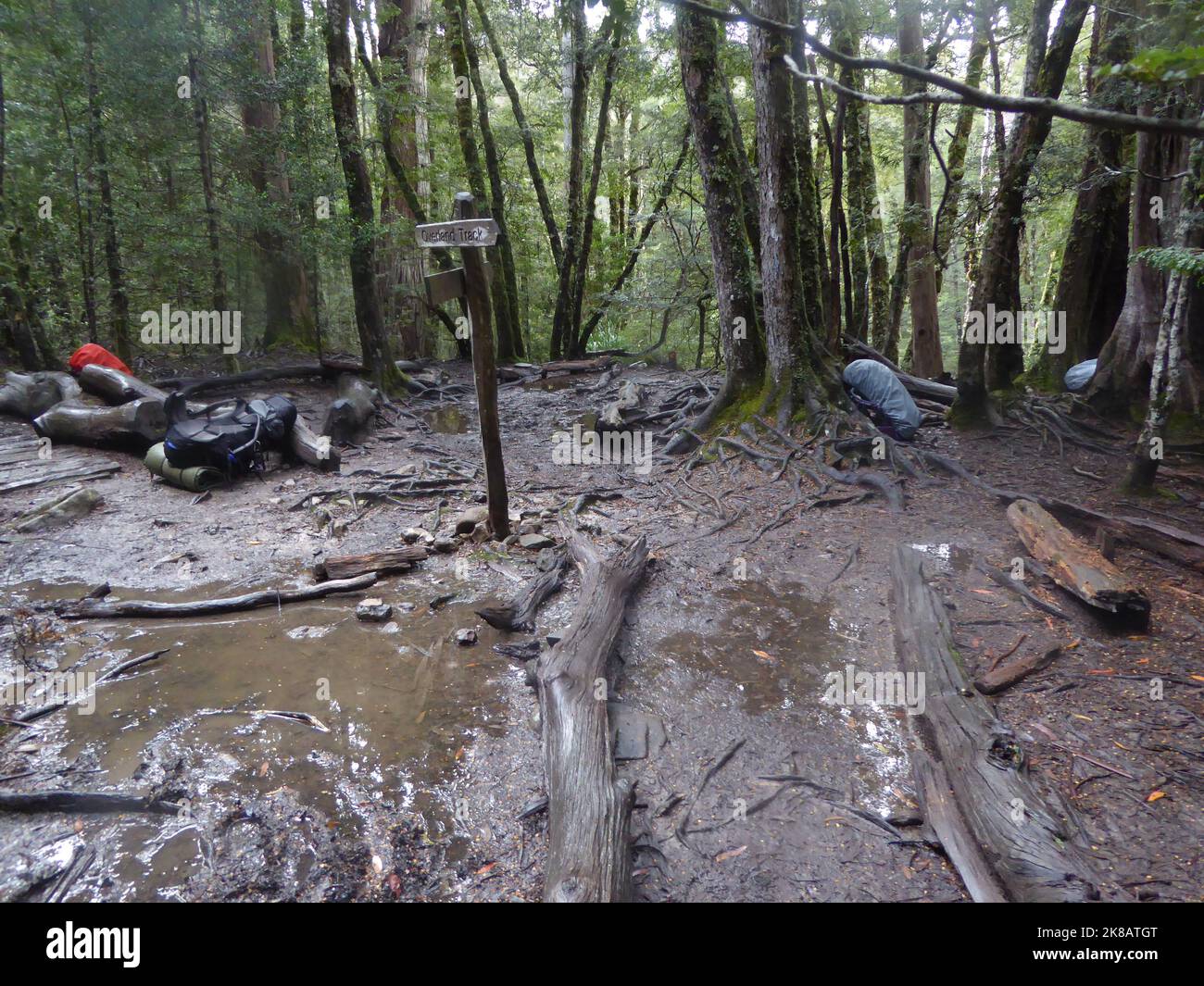 The Overland Track. Australian bushwalking track.Cradle Mountain-Lake ...