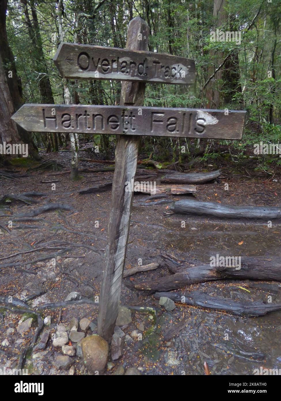 The Overland Track. Australian bushwalking track.Cradle Mountain-Lake ...