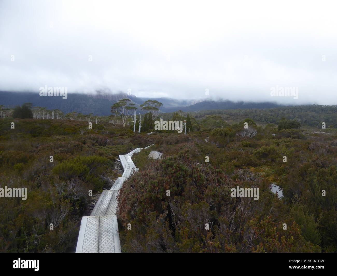 The Overland Track. Australian bushwalking track.Cradle Mountain-Lake ...