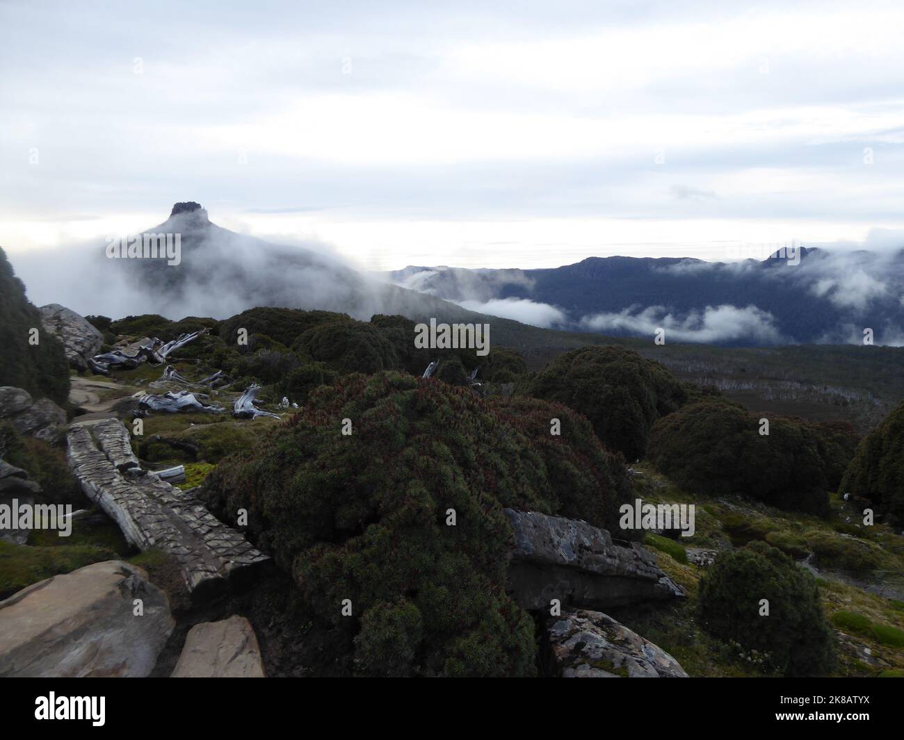 The Overland Track. Australian bushwalking track.Cradle Mountain-Lake ...