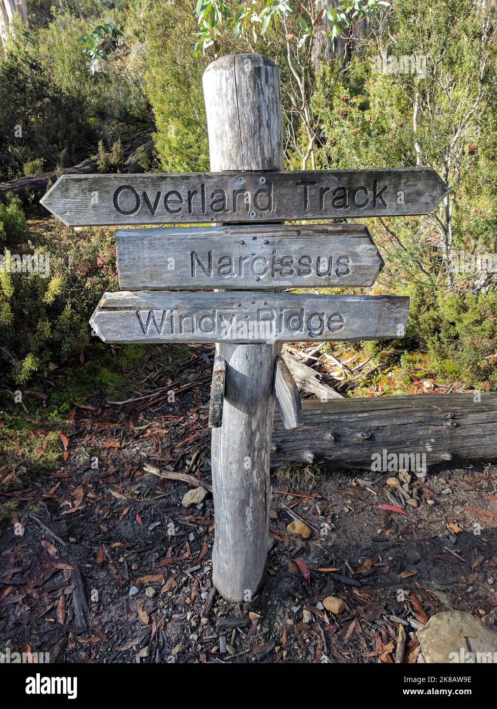 The Overland Track. Australian bushwalking track.Cradle Mountain-Lake ...