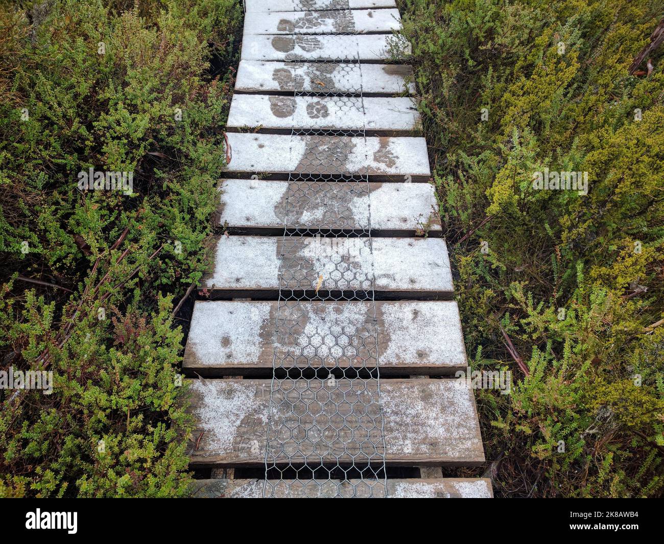 The Overland Track. Australian bushwalking track.Cradle Mountain-Lake ...