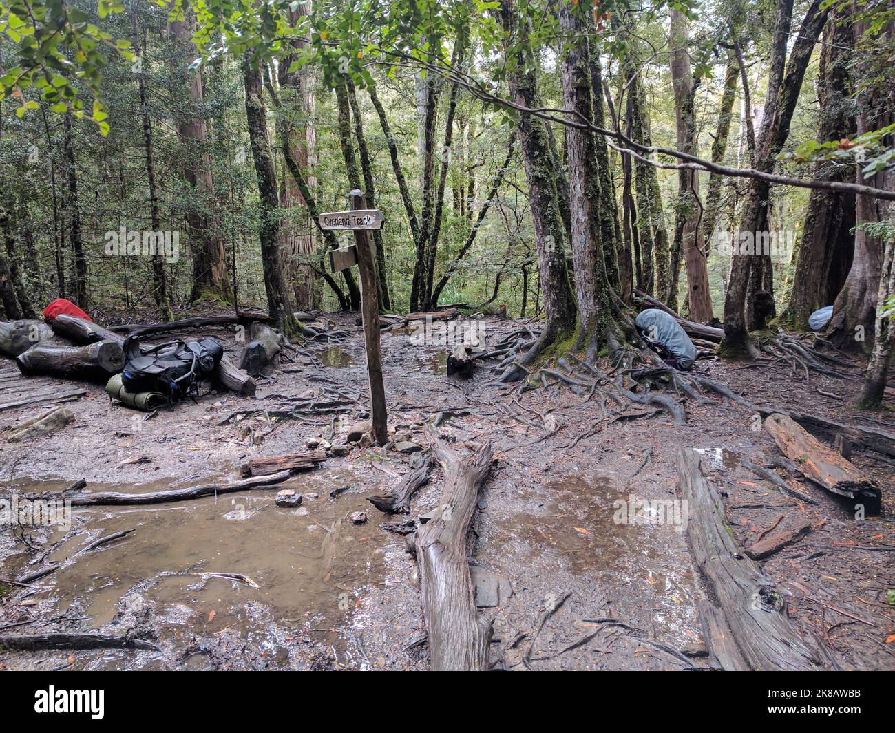 The Overland Track. Australian bushwalking track.Cradle Mountain-Lake ...