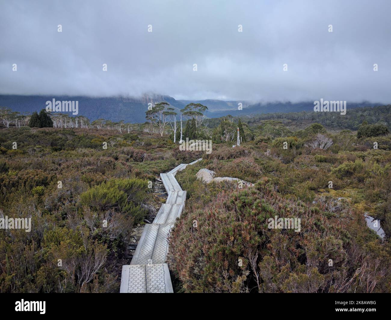 The Overland Track. Australian bushwalking track.Cradle Mountain-Lake ...