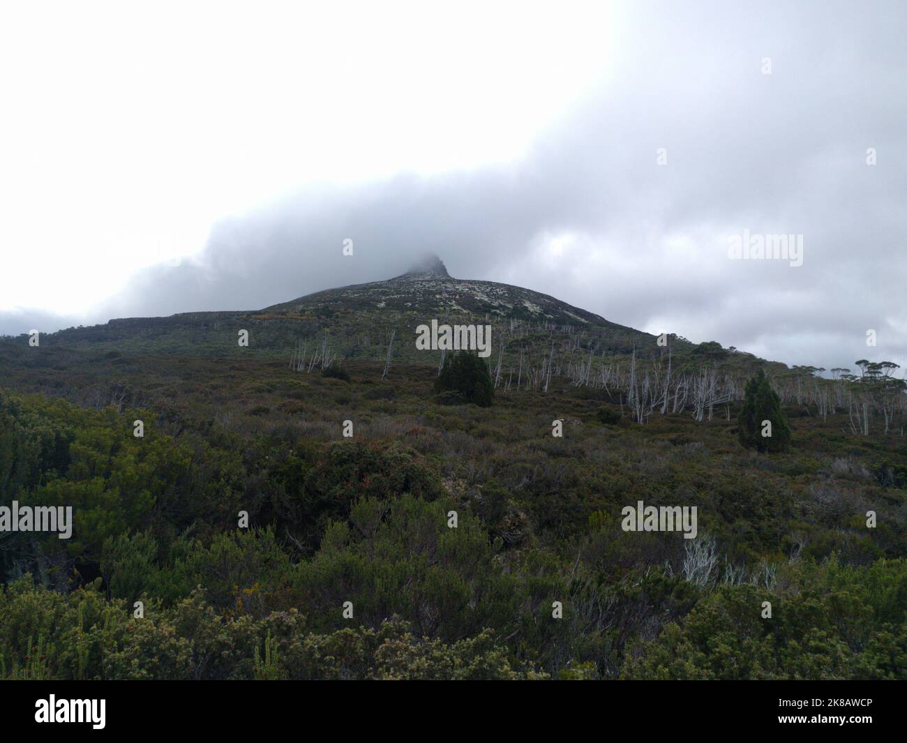 The Overland Track. Australian bushwalking track.Cradle Mountain-Lake ...