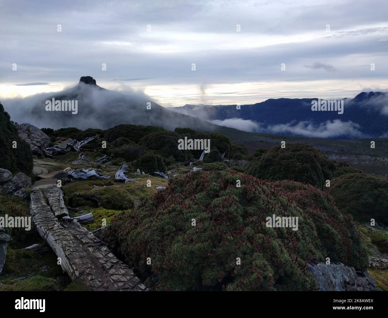The Overland Track. Australian bushwalking track.Cradle Mountain-Lake ...