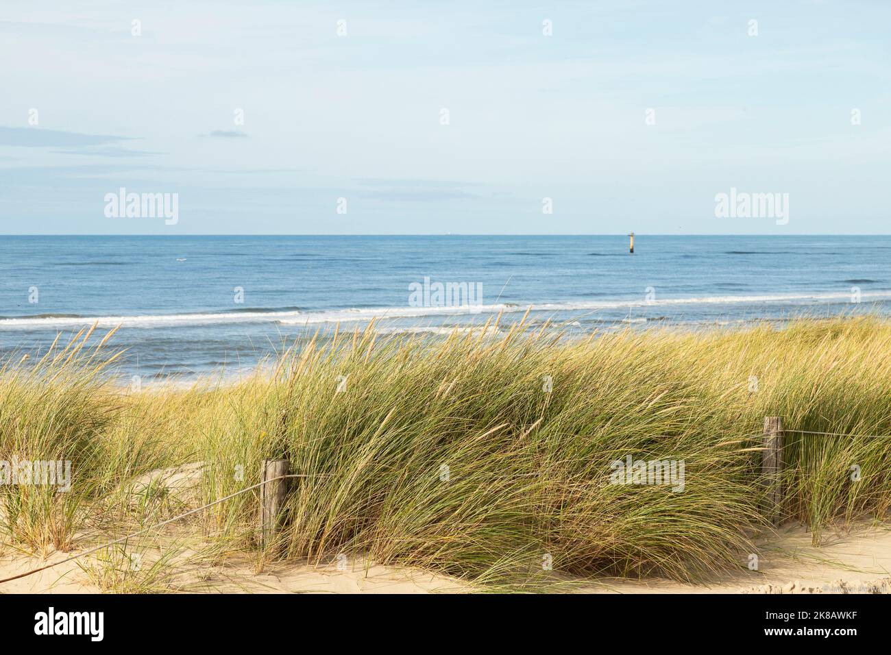 View of the sea from the top of a marram grass-covered dune on the ...