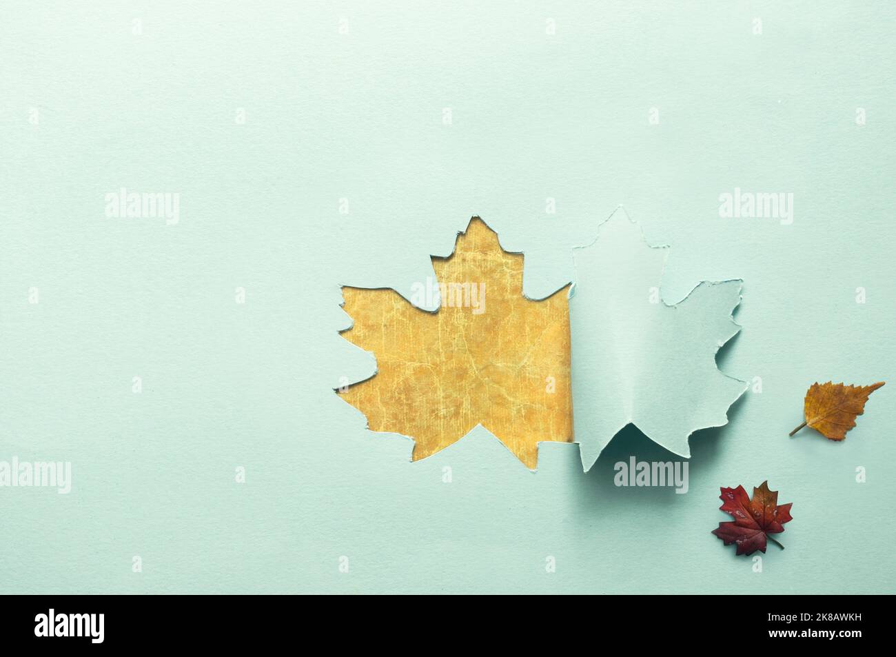 Autumn leaf green paper revealing seasonal colours underneath ...