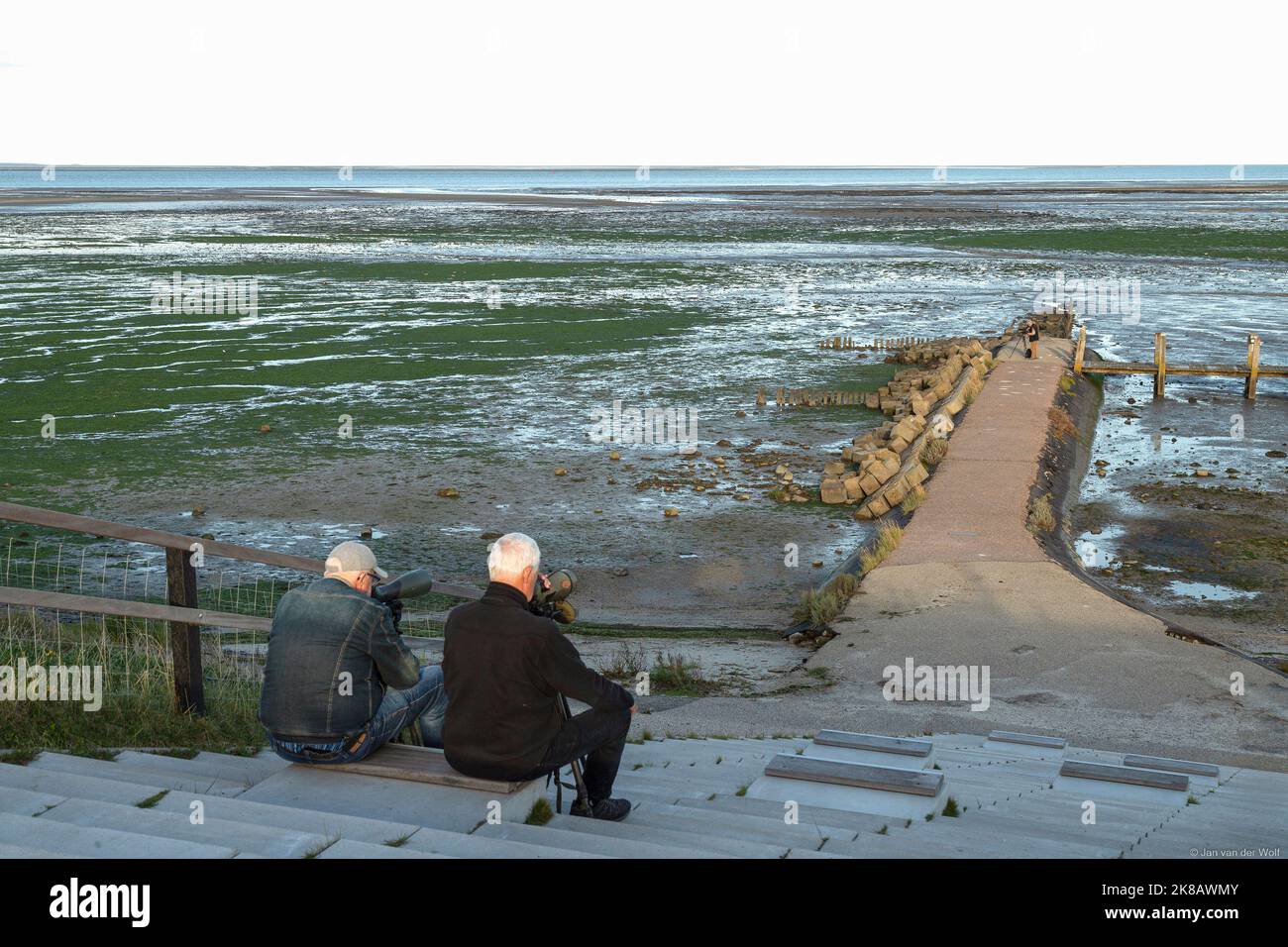 Bird watching on the Wadden Island of Texel Stock Photo - Alamy