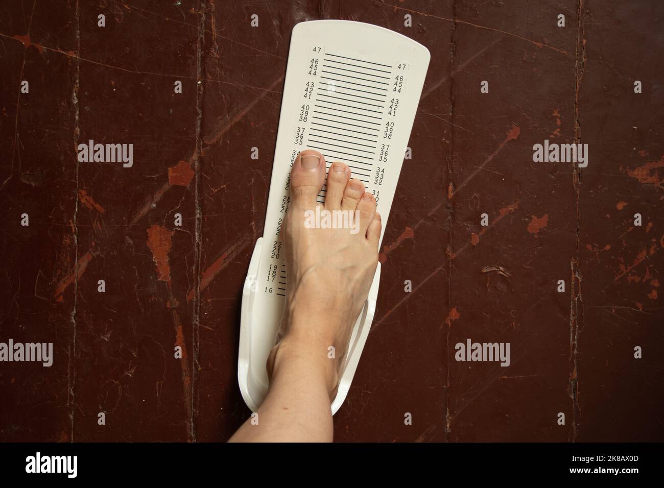 stopwatch for measuring leg length on a wooden floor, plastic leg ...