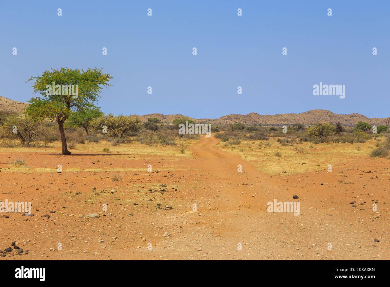 Namibian landscape. African savannah during a hot day. Red ground ...