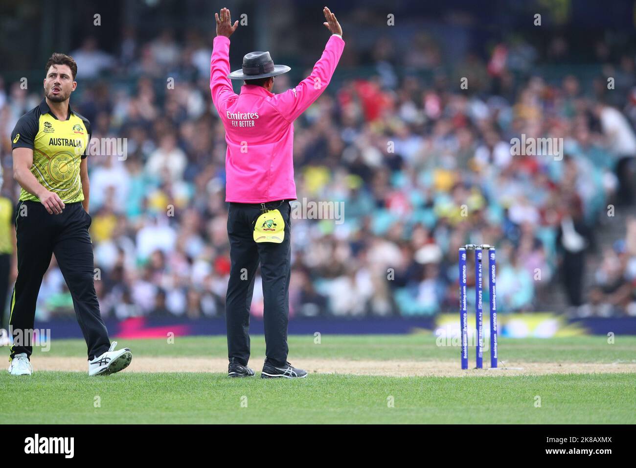 Cricket umpire signals hi-res stock photography and images - Alamy