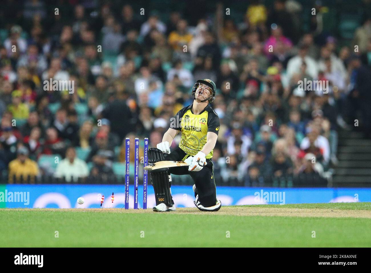 22nd October 2022; SCG, NSW, Australia: T20 World Cup Cricket ...