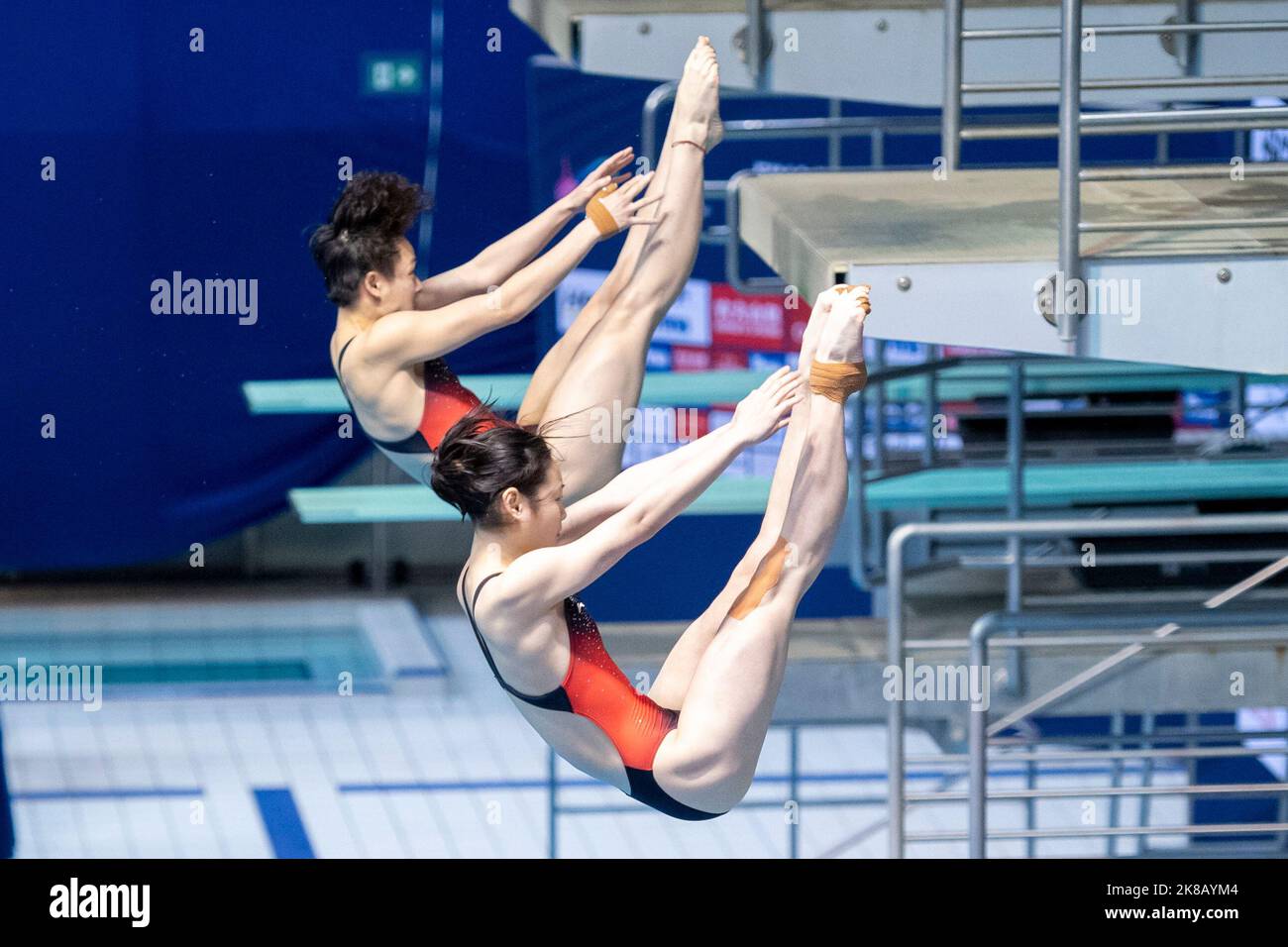 22 October 2022, Berlin: Water diving: World Cup, decisions ...