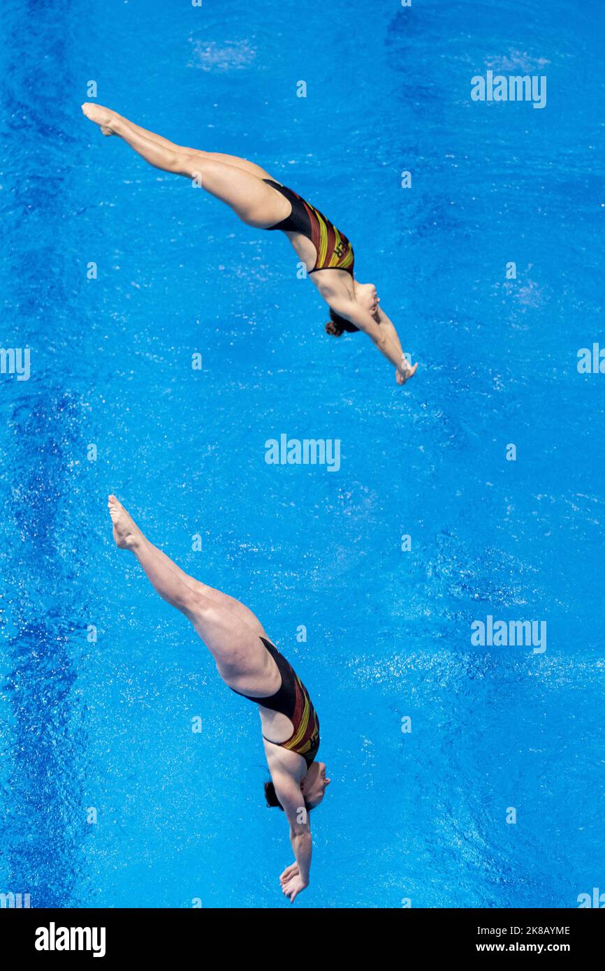 22 October 2022, Berlin: Water diving: World Cup, decisions ...