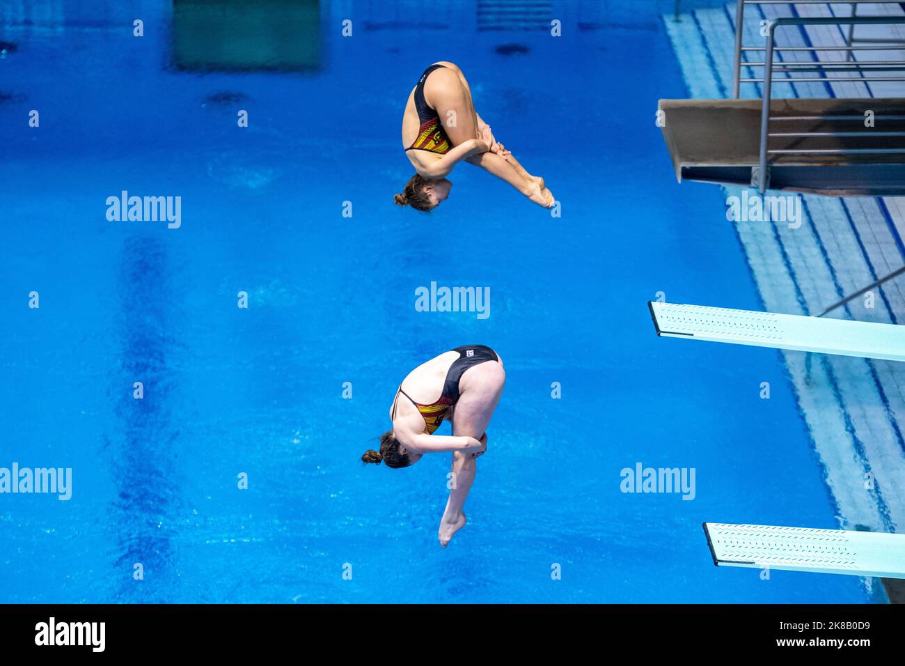 22 October 2022, Berlin: Water diving: World Cup, decisions ...