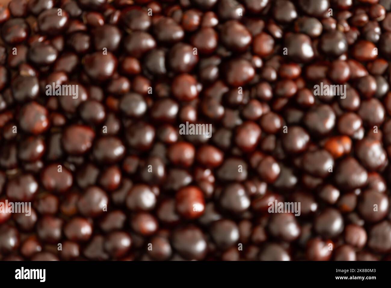 Horizontal photo of inedible Horse Chestnut out of focus in blur ...