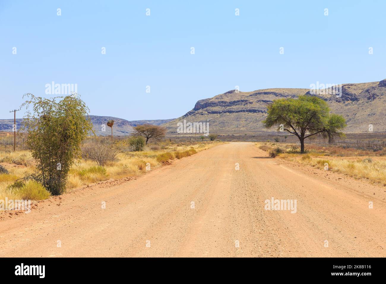 Namibian landscape along the gravel road. Yellow ground and African ...